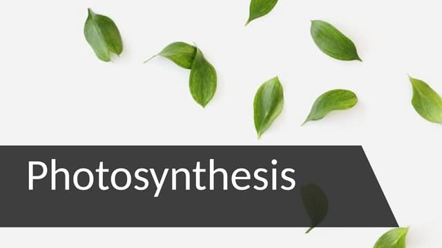 Photosynthesis introduction for Advanced Biology 9th grade | PPT