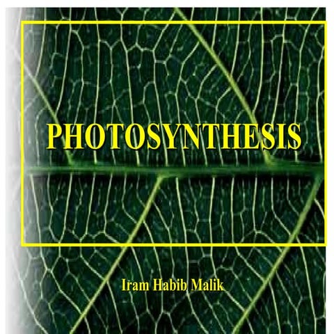 Photosynthesis A2 level Biology cambridge notes | PPT