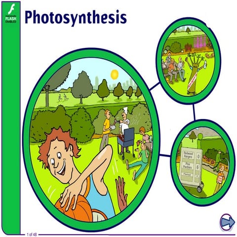 Chapter 7 Nutrition in Plants Lesson 3 - Experiments testing for ...