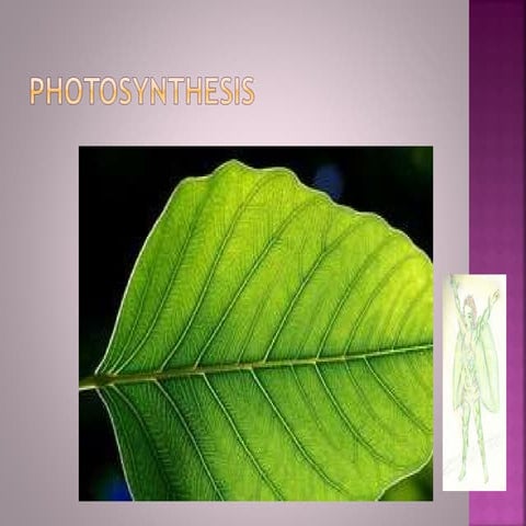 Photosynthesis.a2ppt | PPT