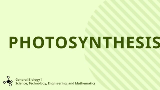 Light independent reactions of photosynthesis | PPTX
