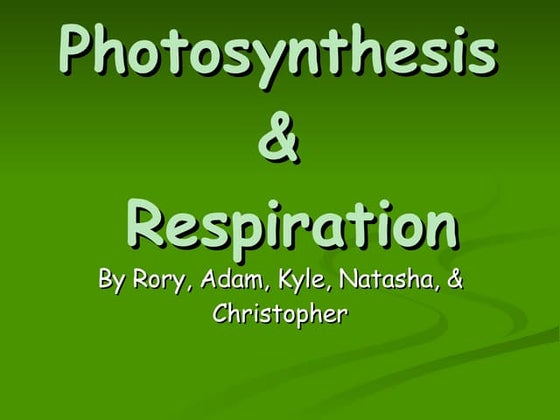 Photosynthesis and respiration powerpoints | PPT