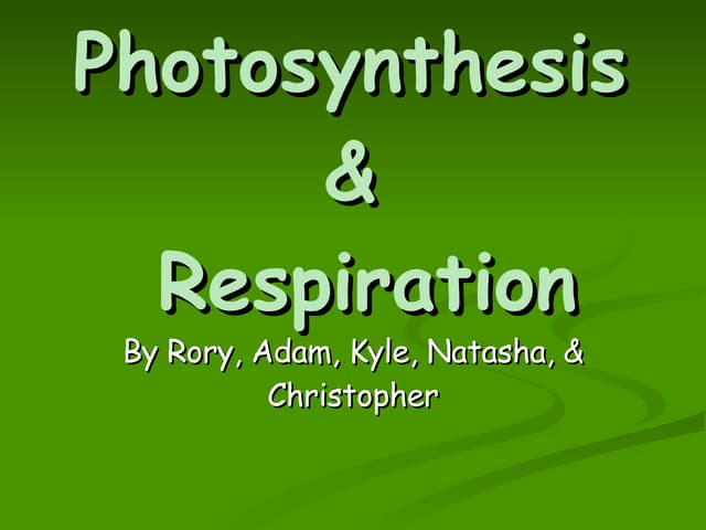 Photosynthesis and respiration powerpoints | PPT