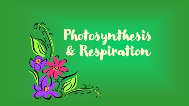 Grade 9-photosynthesis and respiration.pptx