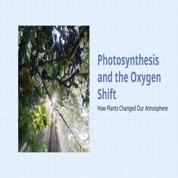 Photosynthesis and the Oxygen Shift: How Primitive Plants Transformed ...