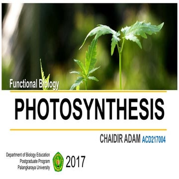 Photosynthesis - Chaidir Adam 2017 | PPTX