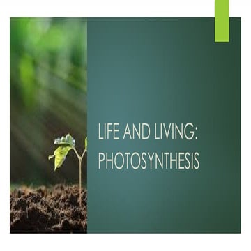 Photosynthesis - Grade 8.pptx Light/dark | PPTX