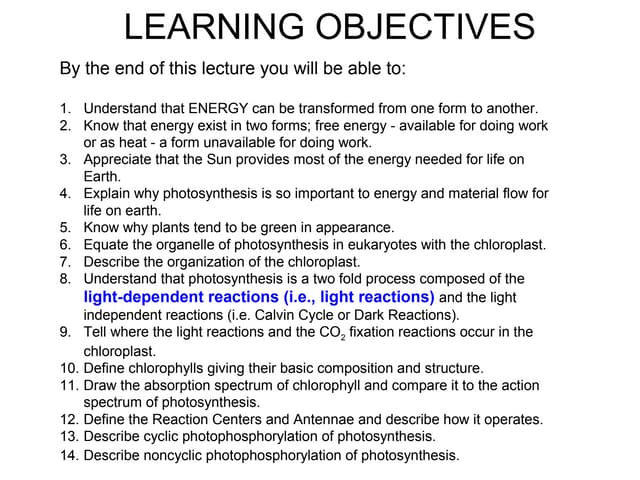 Photosynthesis | PPTX | Science