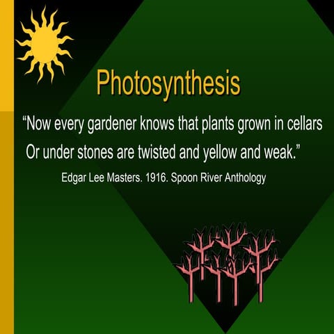 Photosynthesis lecture part 1 | PPT
