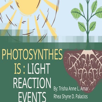 Biology 11- Photosynthesis.ppt