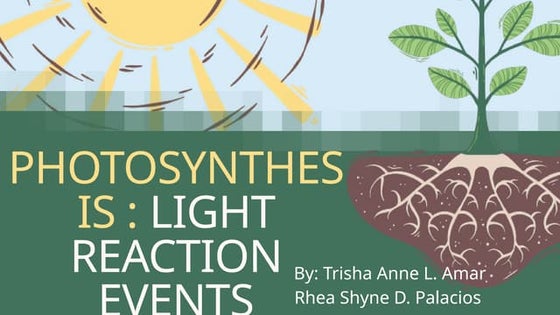 8th Grade Science: Photosynthesis Slides | PDF