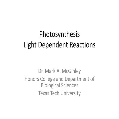 Photosynthesis light dependent reactions | PPTX