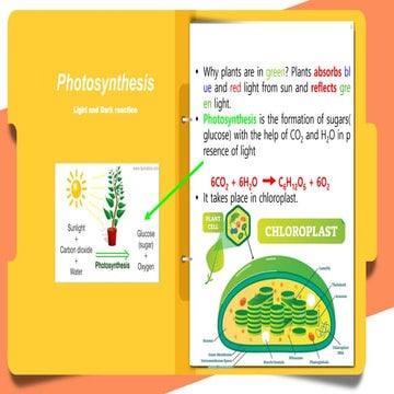 Photosynthesis -light reaction | PDF