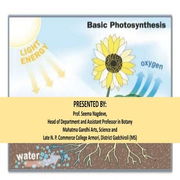 Photosynthesis | PPT