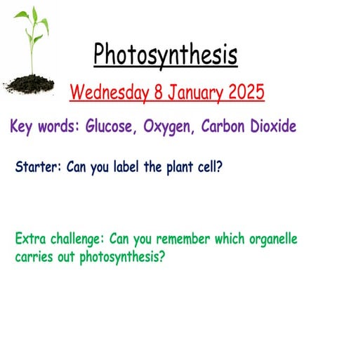 Photosynthesis-How plants make their own foodt.ppt