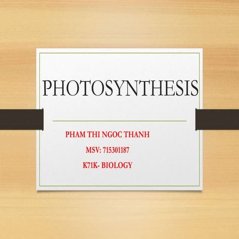 Photosynthesis-Light-Dependent-Reactions-LITE (1).ppsx