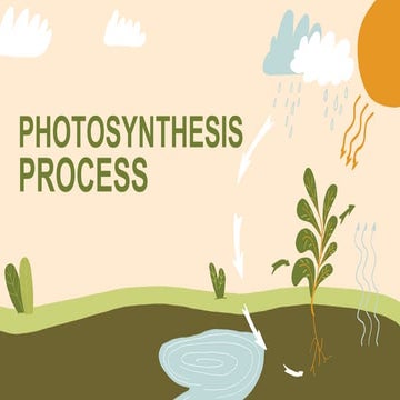 photosynthesis-process-for-education.pptx | Chemistry | Science