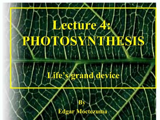 EARTH AND LIFE SCIENCE CHAPTER 6 BIOENERGETICS | PPTX | Chemistry | Science