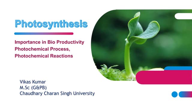 Light reaction of photosynthesis | PPTX | Chemistry | Science