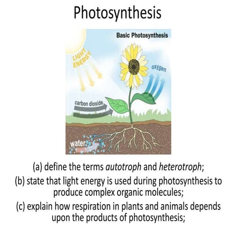 Photosynthesis 1 | PPTX | Chemistry | Science