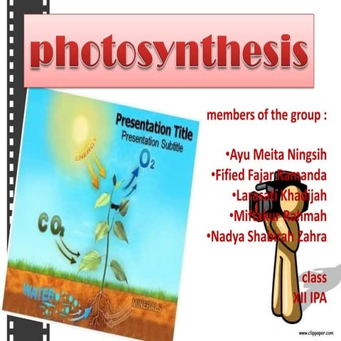 Photosynthesis... | PPTX | Chemistry | Science