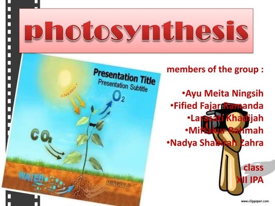 Photosynthesis (class 10) | PPTX