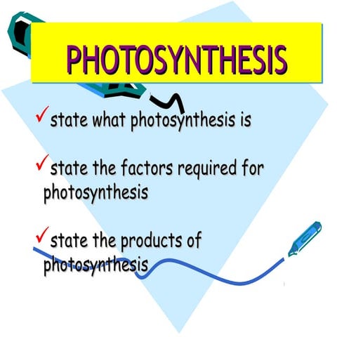 Chapter 7 Nutrition in Plants Lesson 3 - Experiments testing for ...