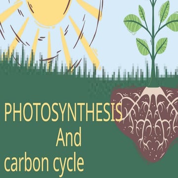 Photosynthesis and carbon cycle grade 8.pptx