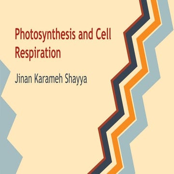 Photosynthesis and cell respiration | PPTX | Biological Sciences | Science