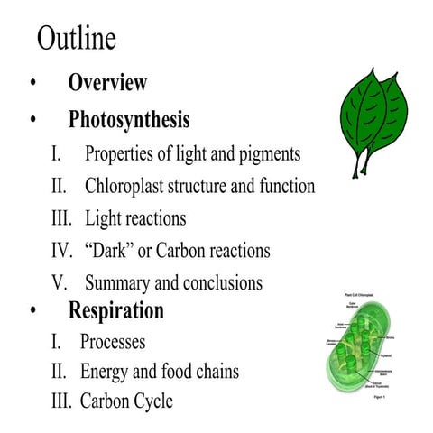 Photosynthesis and Cellular Respiration-0.ppt | Chemistry | Science