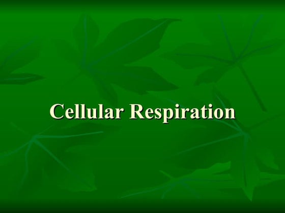 Cellular Respiration PowerPoint | PPT