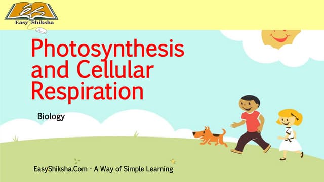 Cellular respiration introduction for 9th grade biology | PPT