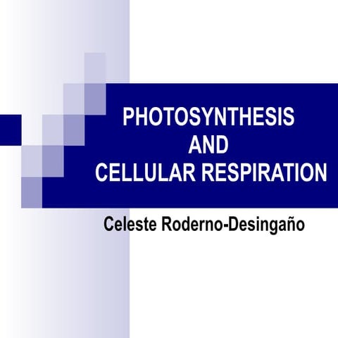 BIOLOGICAL SCIENCE~photosynthesis and cellular respiration | PPT