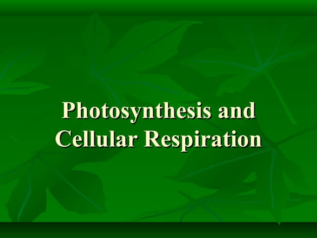 Photosynthesis | PPTX