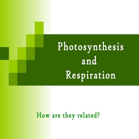 Photosynthesis and Cellular Respiration | PPT