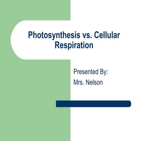 Photosynthesis and respiration | PPT