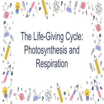 Photosynthesis and Cellular Respiration | PPT