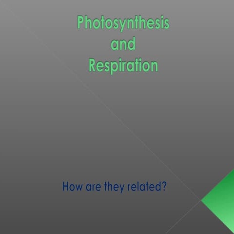Biology Unit 3 Notes: Cellular Respiration | PPT
