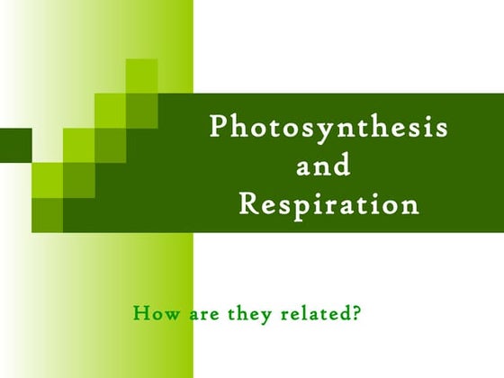 Photosynthesis and Cellular Respiration | PPT