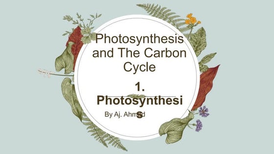Photosynthesis.pptx 1. pptx | PPTX