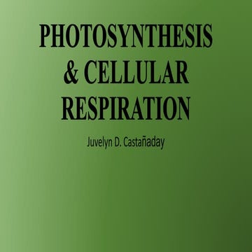 Vocabulary and Cycles | PPT