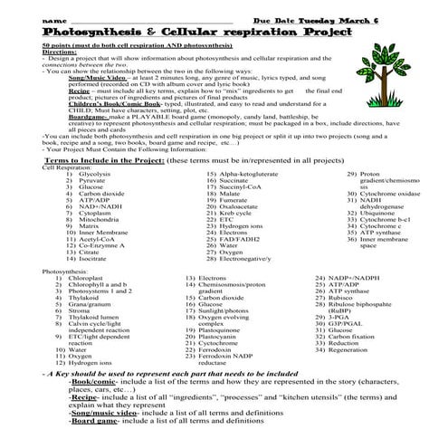 Photosynthesis cellular respiration poster project grading sheet | DOCX