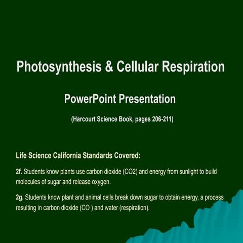 Photosynthesis & Cellular Respiration PowerPoint.pptx