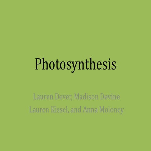 High School Biology Lesson - Photosynthesis.pdf