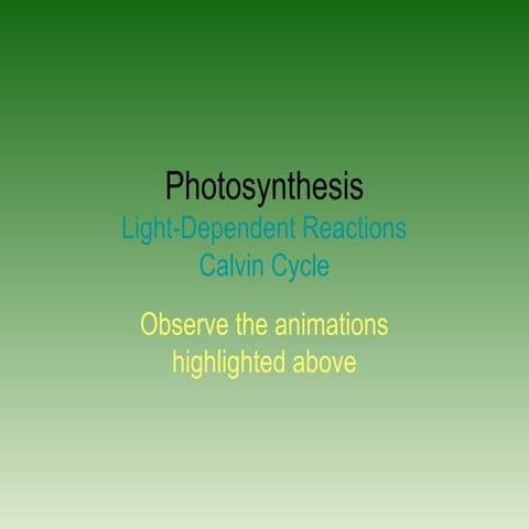 Light Dependent Reactions Of Photosynthesis Pearson