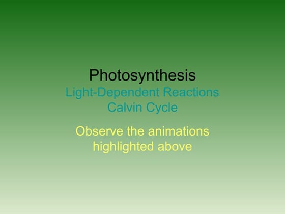 Photosynthesis_Light_Reactions_Calvin_Cycle.pptx