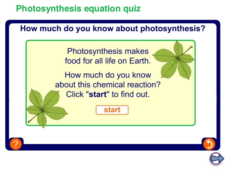 photosynthesis-equation-quiz