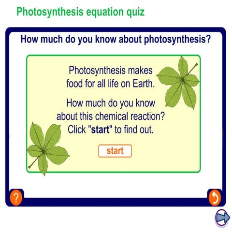 Photosynthesis equation quiz | PPTX