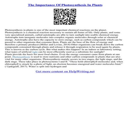 Photosynthesis Essay | PDF