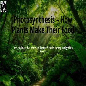 Photosynthesis – How Plants Make Their Food.pptx